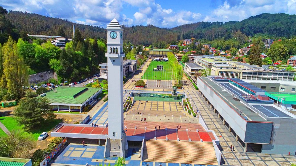 Resultados PAES 2024: ¿Cómo postular a carreras y cuáles son los requisitos?