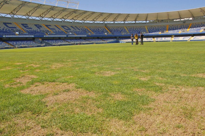 César Ceballos: “La cancha del Ester Roa necesita una cirugía mayor”