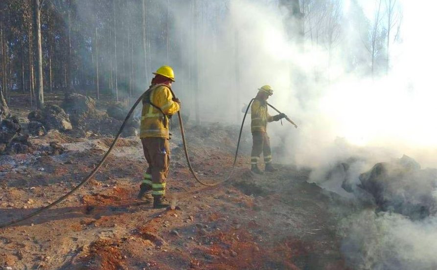 Declaran Alerta Roja para la comuna de Los Ángeles por incendio forestal