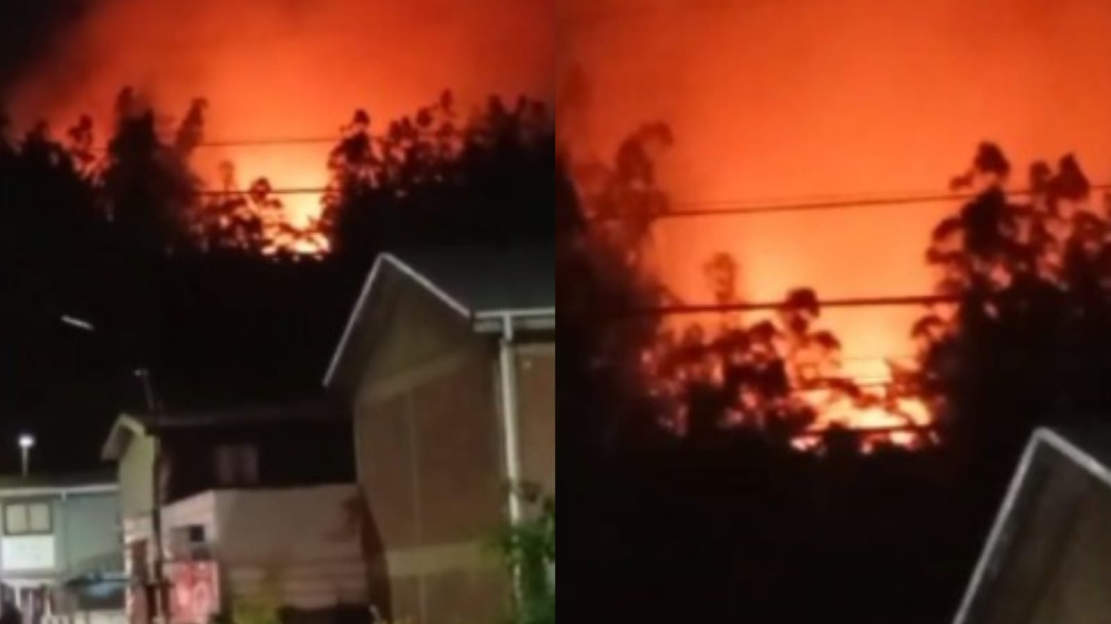 Incendio en cerro “La U” de Talcahuano: municipio oficiará a CAP para ...