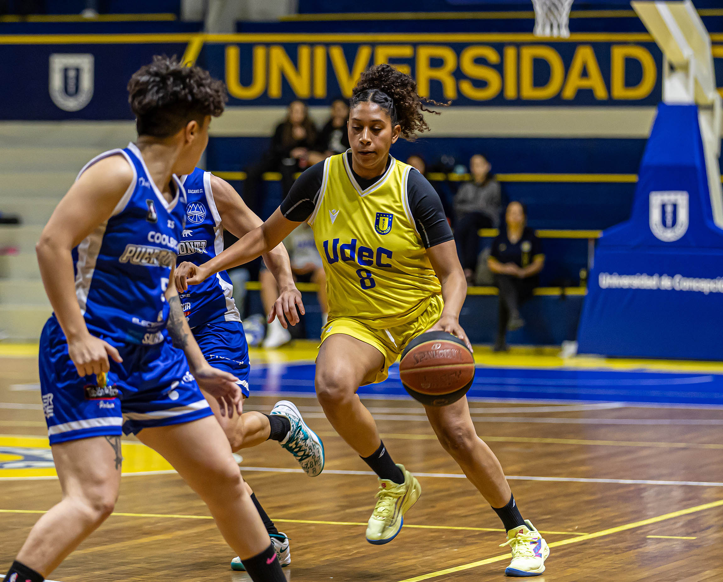 Basket UdeC sigue invicto en Liga Nacional Femenina tras vencer a Puerto Montt
