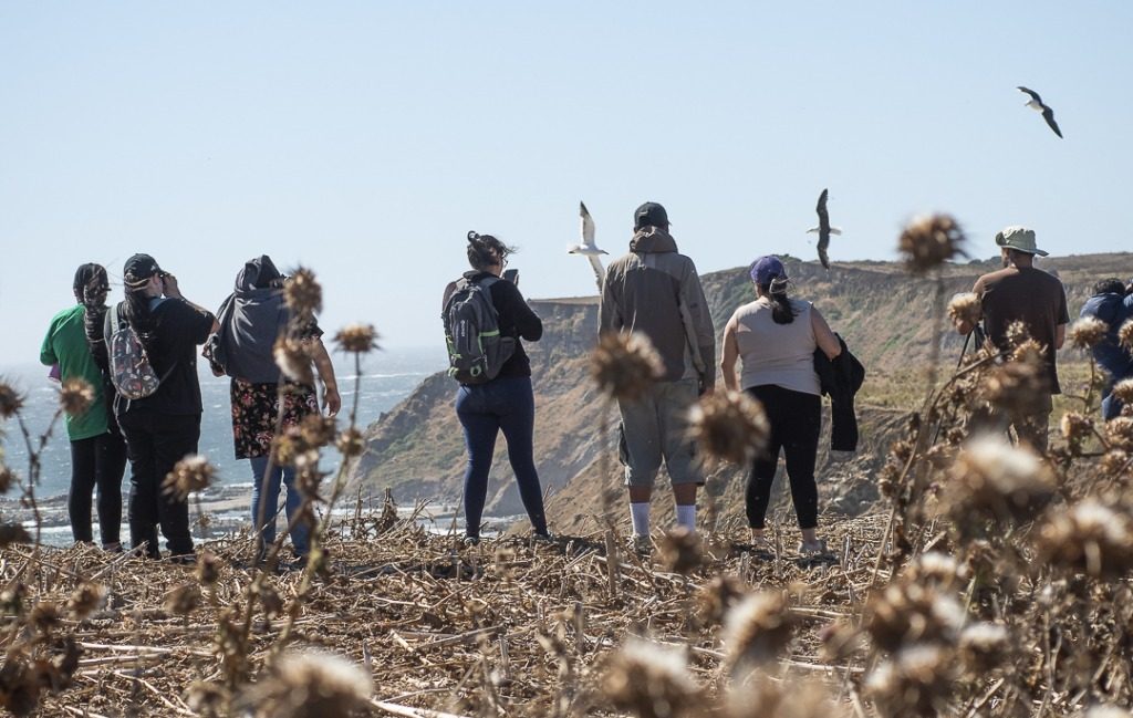 Isla Santa María: un refugio único de aves para explorar, valorar y ...