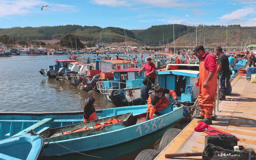 Un triunfo para los pescadores de Lebu
